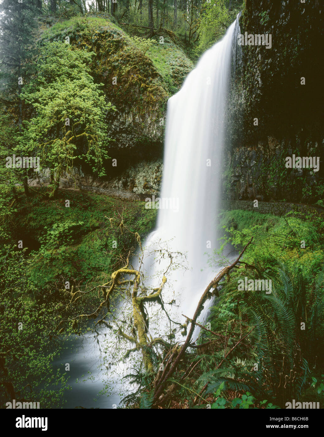 OREGON - Middle North Falls at Silver Falls State Park Stock Photo - Alamy