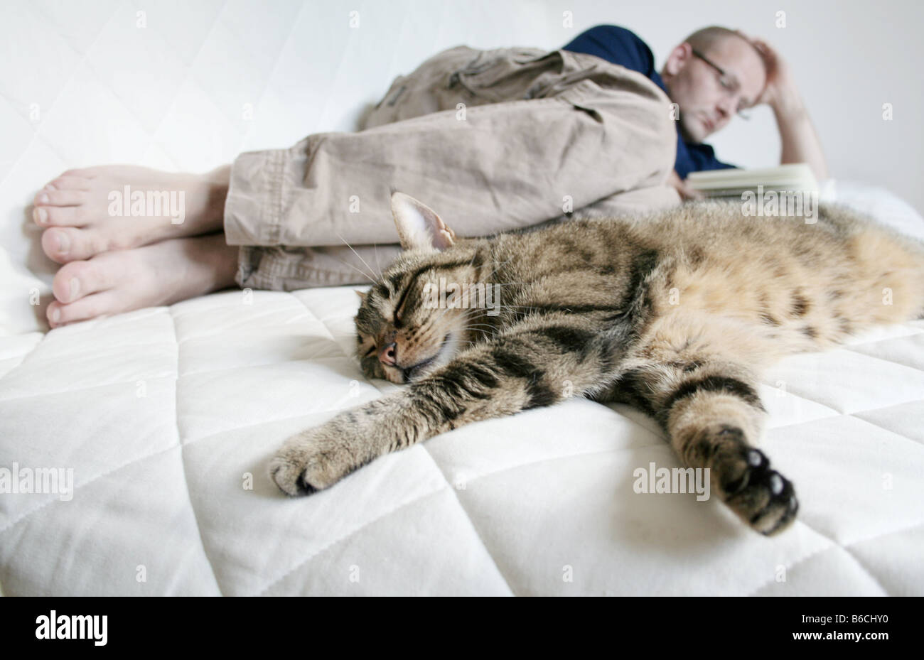 Man And Cat Sleeping On Bed