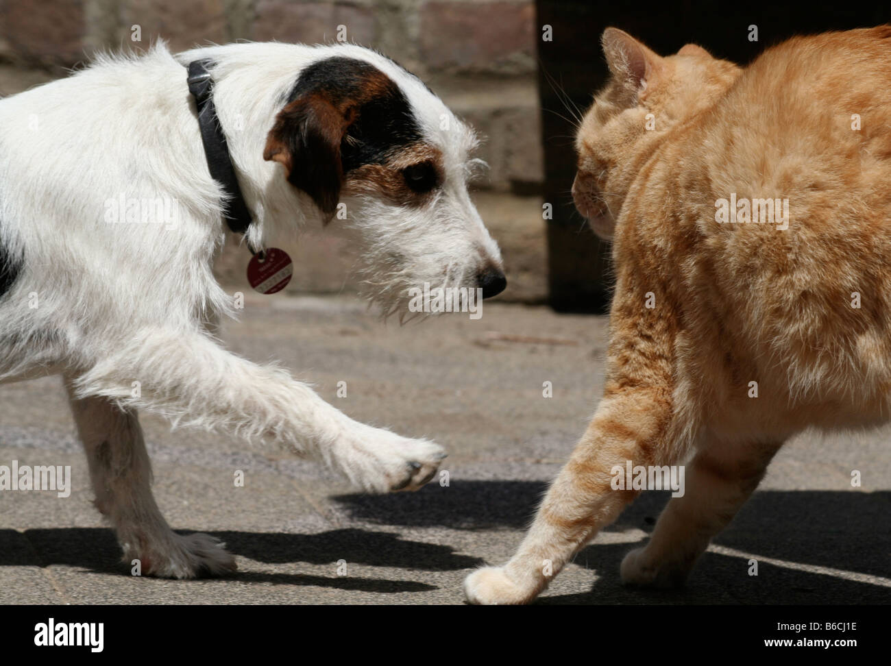 Confronting each other hi-res stock photography and images - Alamy