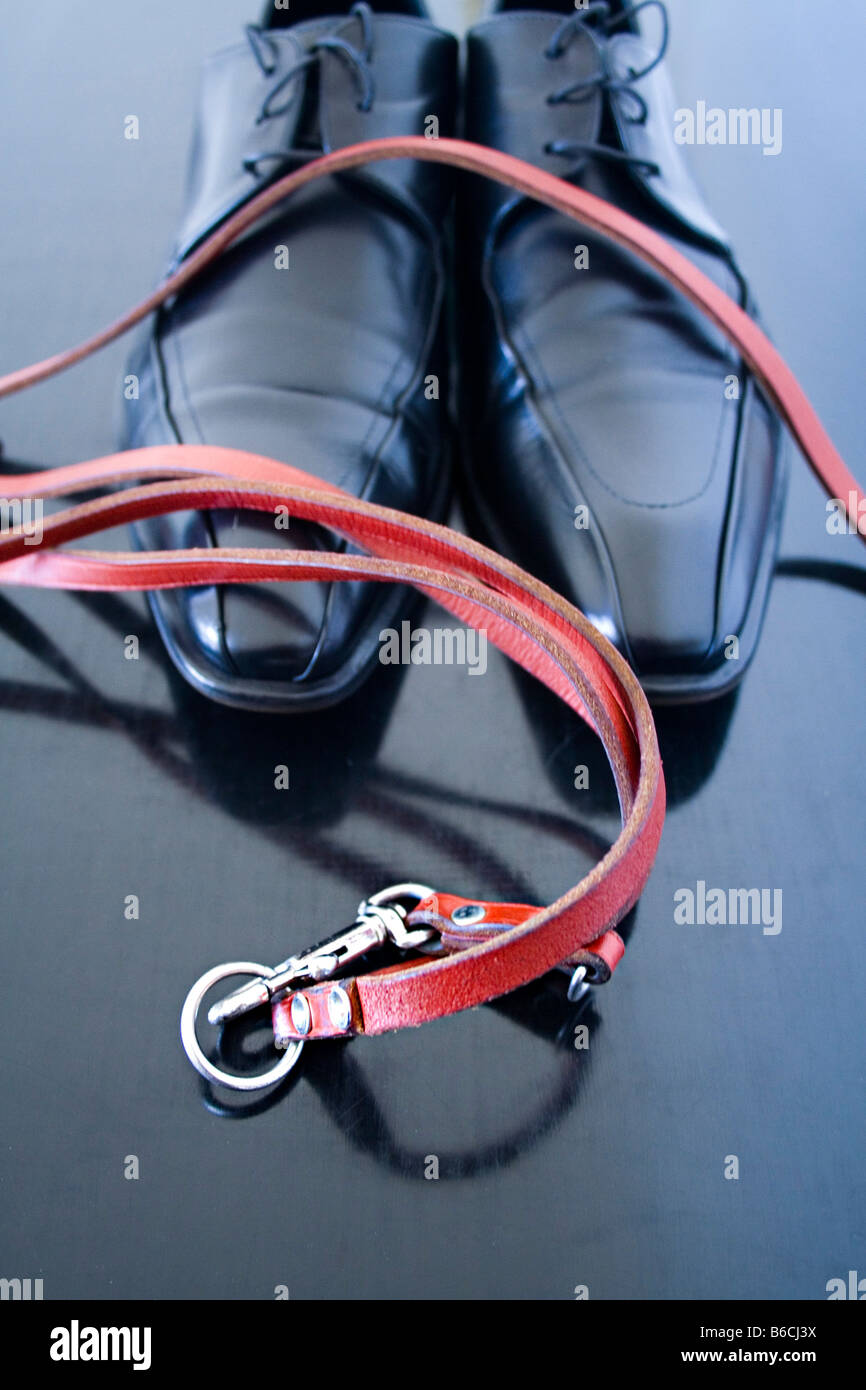 Dogs shoes hi-res stock photography and images - Alamy