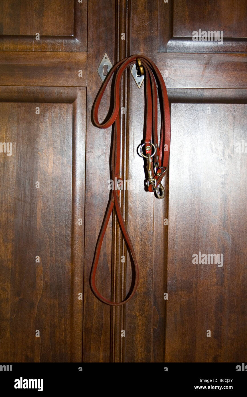 Close-up of dog's leash hanging on key inserted in keyhole Stock Photo ...