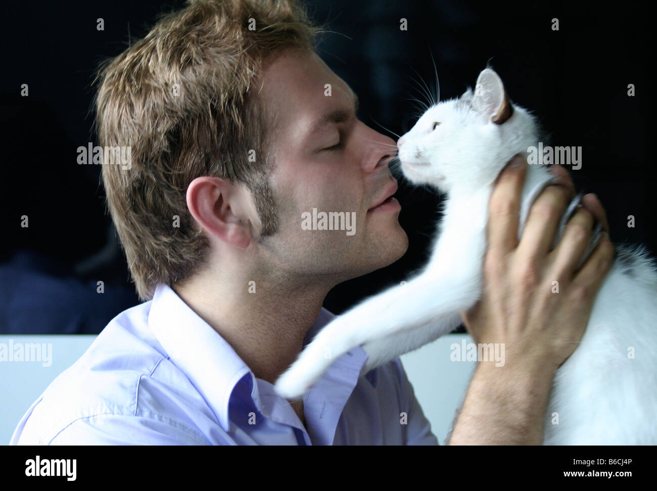 Close-up of young man playing with cat Stock Photo - Alamy