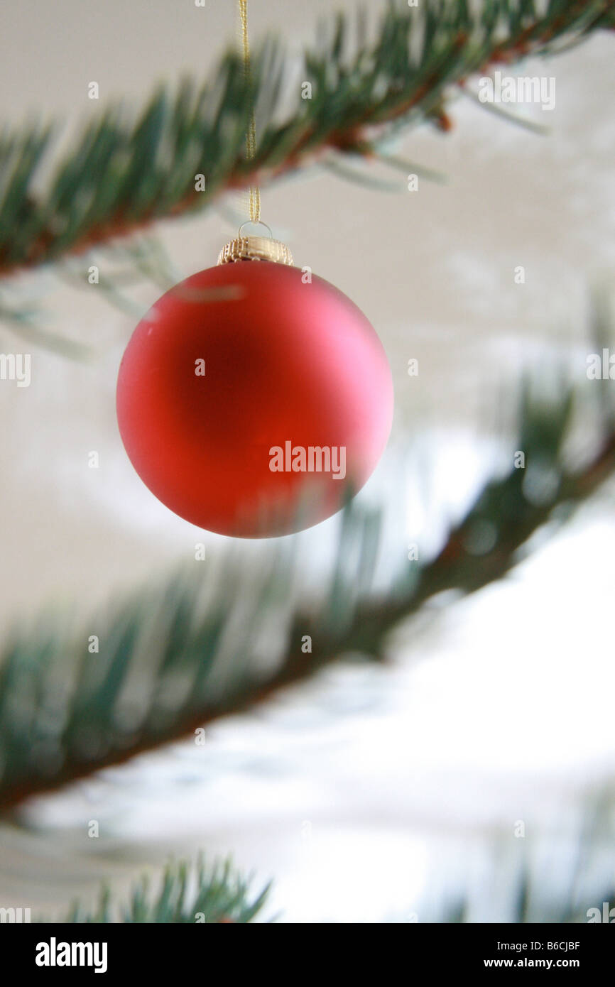Close-up of Christmas ornament hanging on tree Stock Photo - Alamy