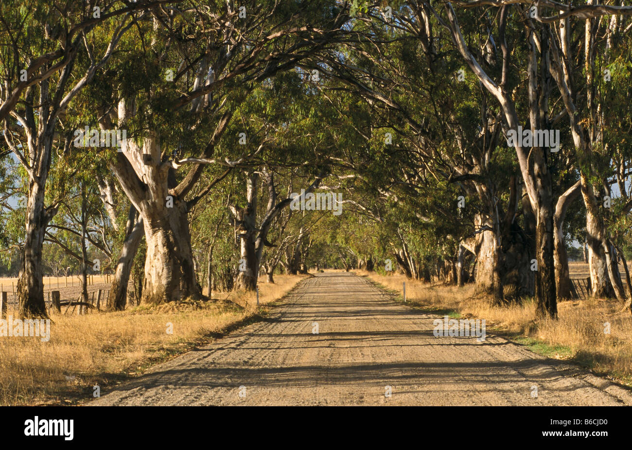 Australian country road hi-res stock photography and images - Alamy