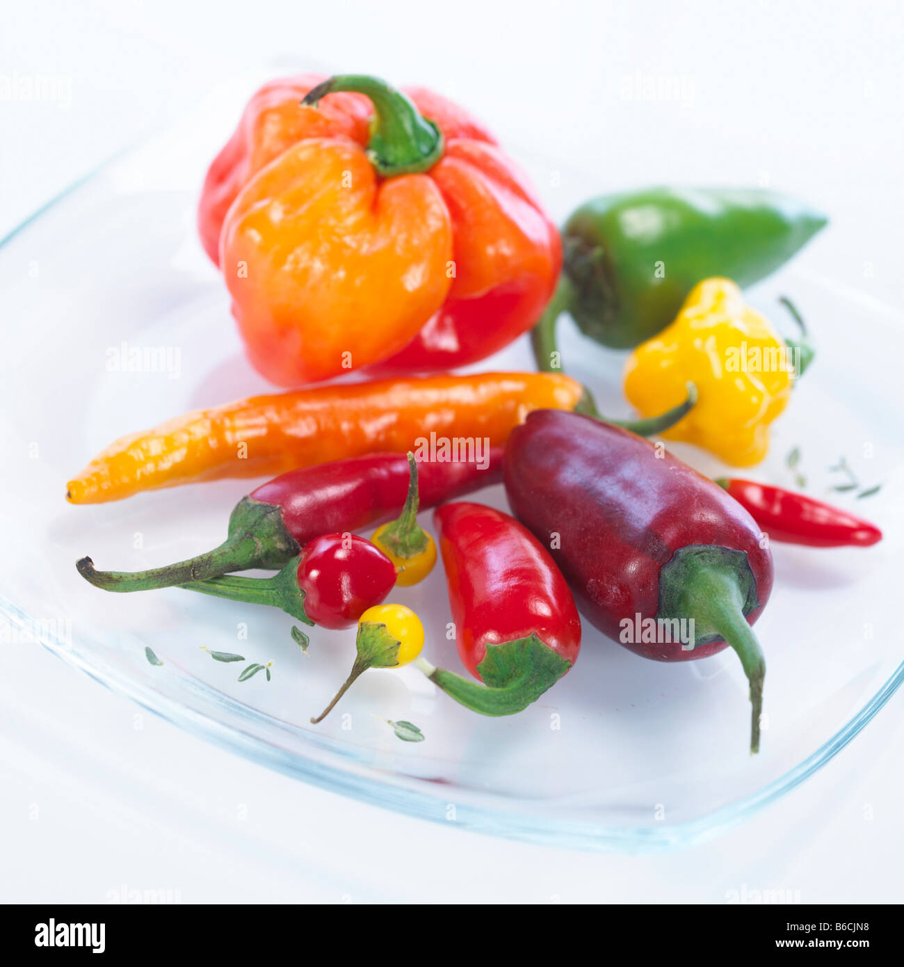 Chili number plates hi-res stock photography and images - Alamy
