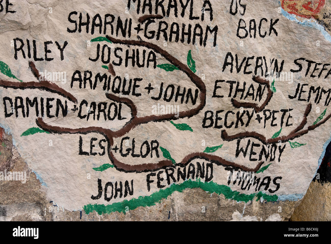 Family Tree painted on a rock at Nambucca Heads NSW Australia Stock ...