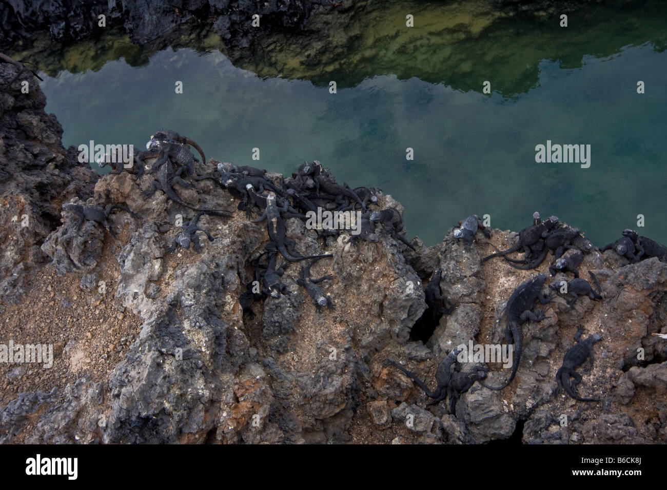 Volcano galapagos lava eruption hi-res stock photography and images - Alamy