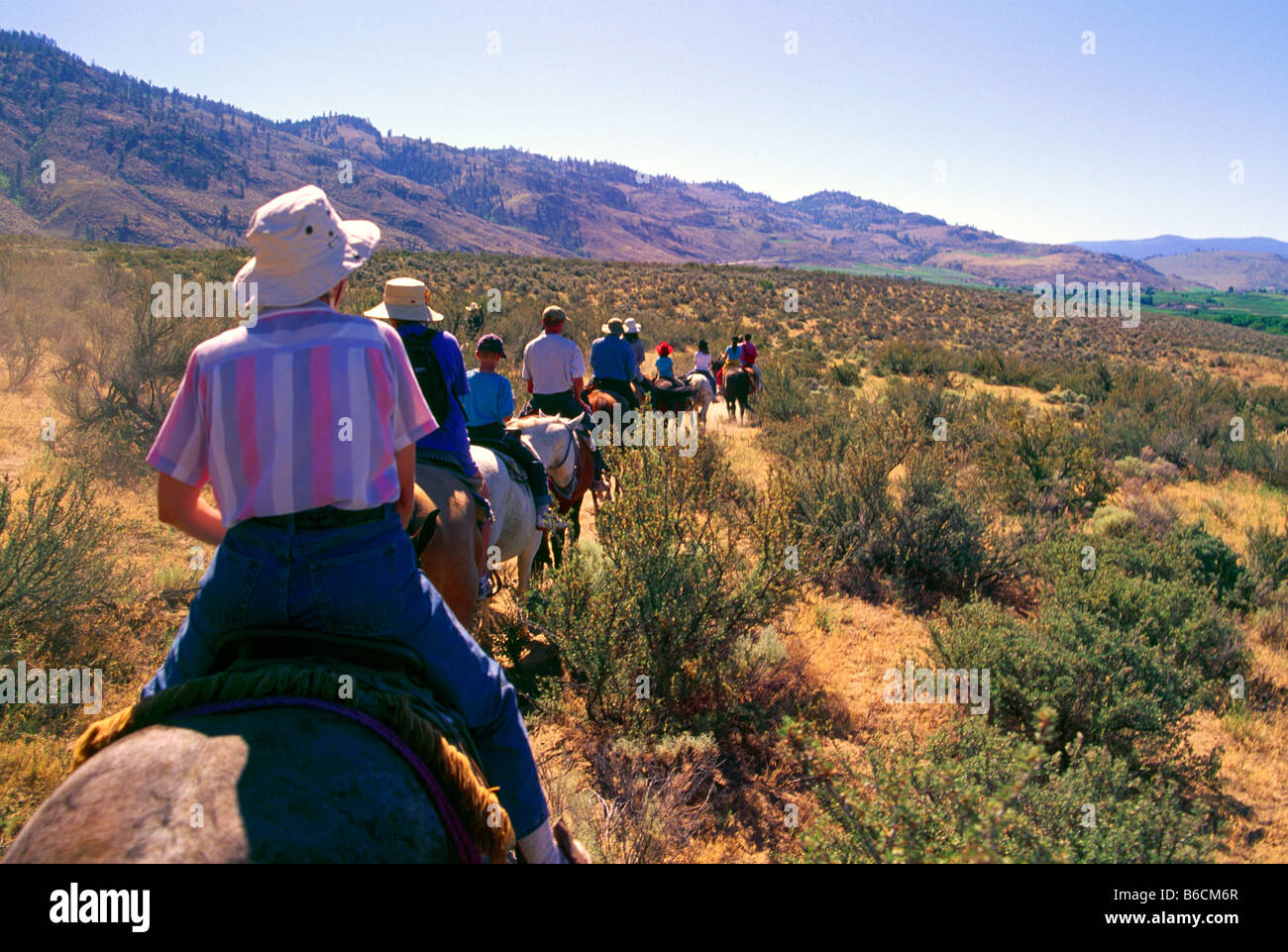 Sonoran desert activity hi-res stock photography and images - Alamy