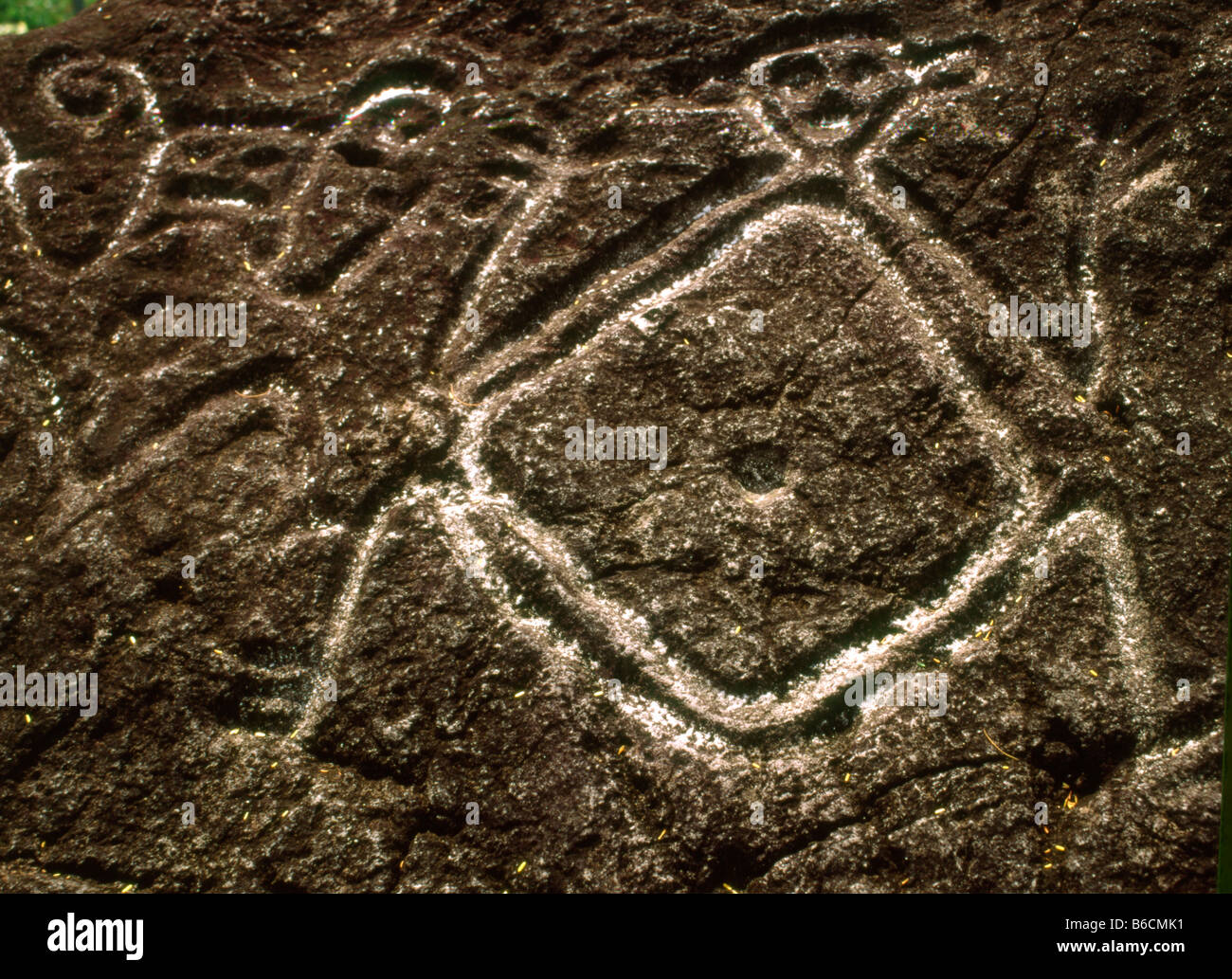 St.Kitts Ancient rock carvings Stock Photo - Alamy