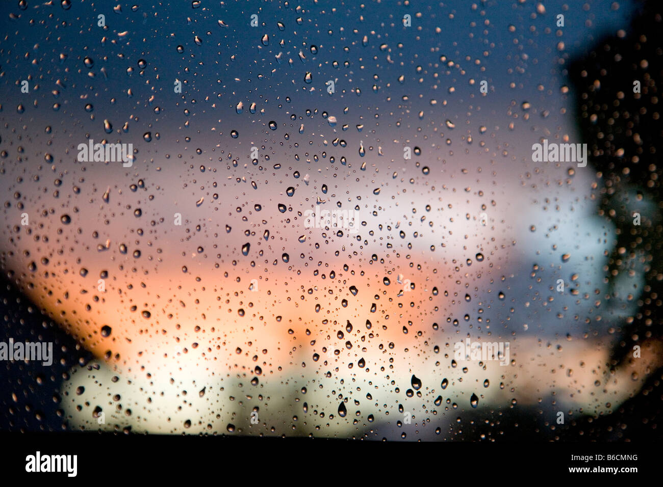 Water drops on window pane Stock Photo - Alamy