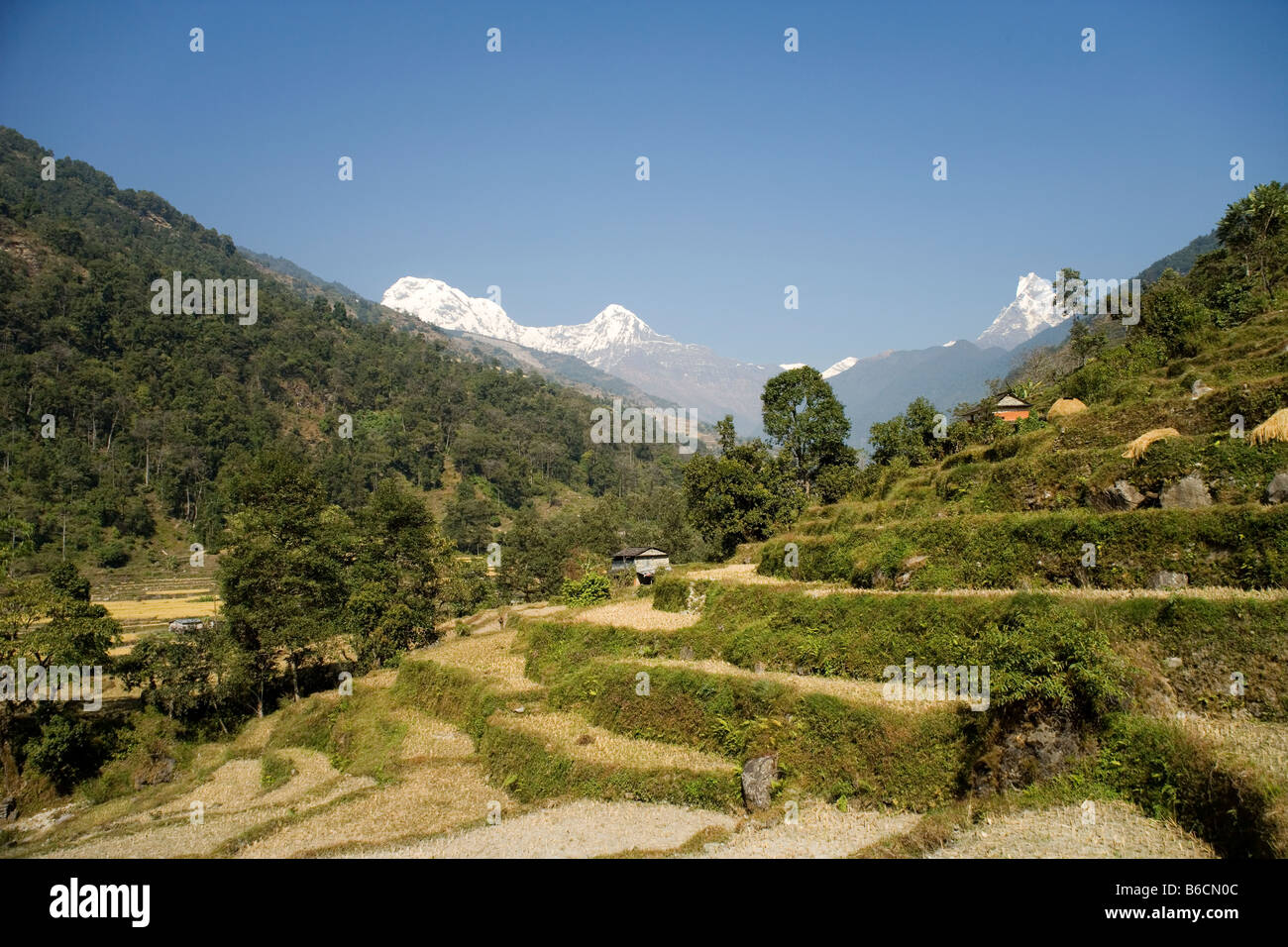 Modi river valley hi-res stock photography and images - Alamy