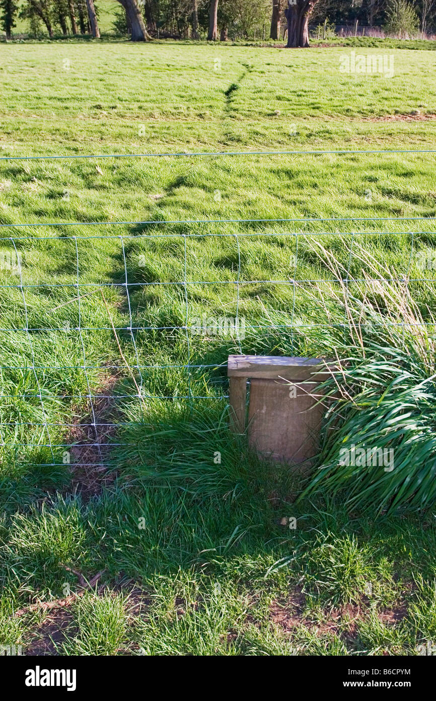 Badger Gate High Resolution Stock Photography and Images - Alamy