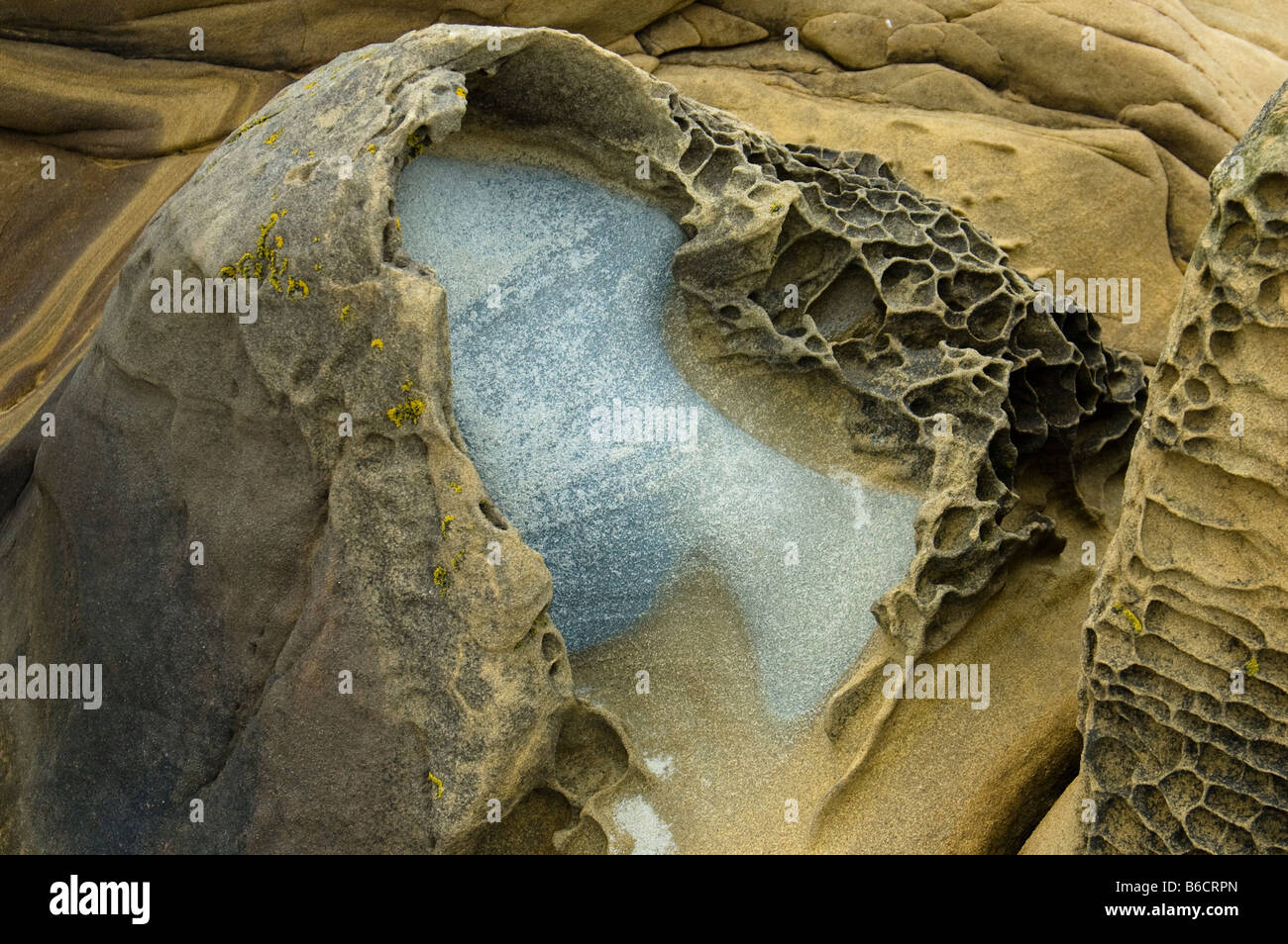 Sandstone Formations, Salt Point State Park, California Stock Photo - Alamy