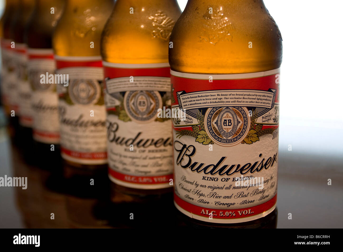 Budweiser Beer Bottle Stock Photos & Budweiser Beer Bottle Stock Images ...