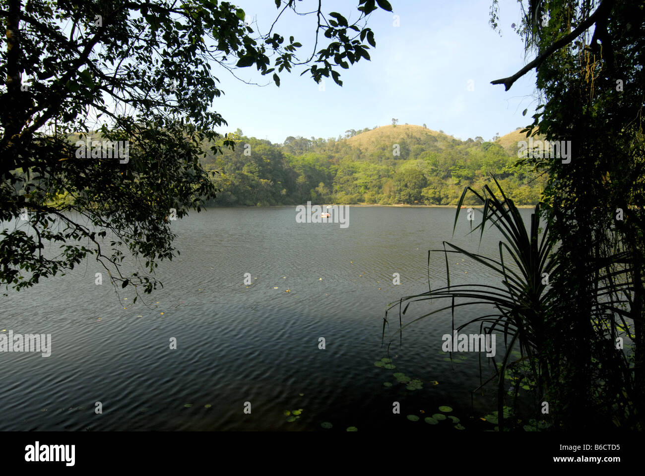 POOKOTE LAKE IN WAYANAD KERALA Stock Photo - Alamy