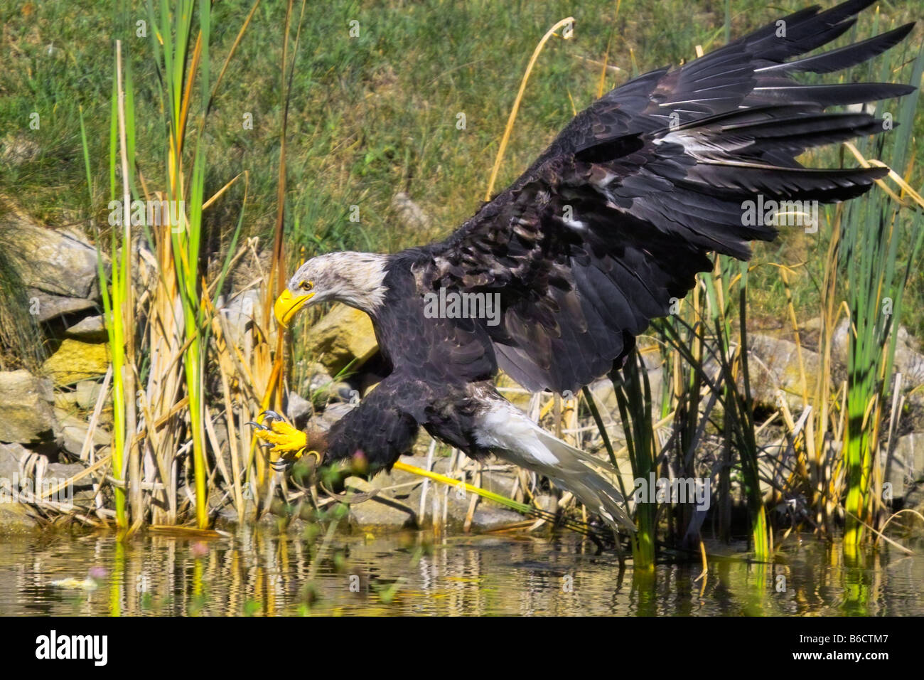 Flying scenes hi-res stock photography and images - Alamy