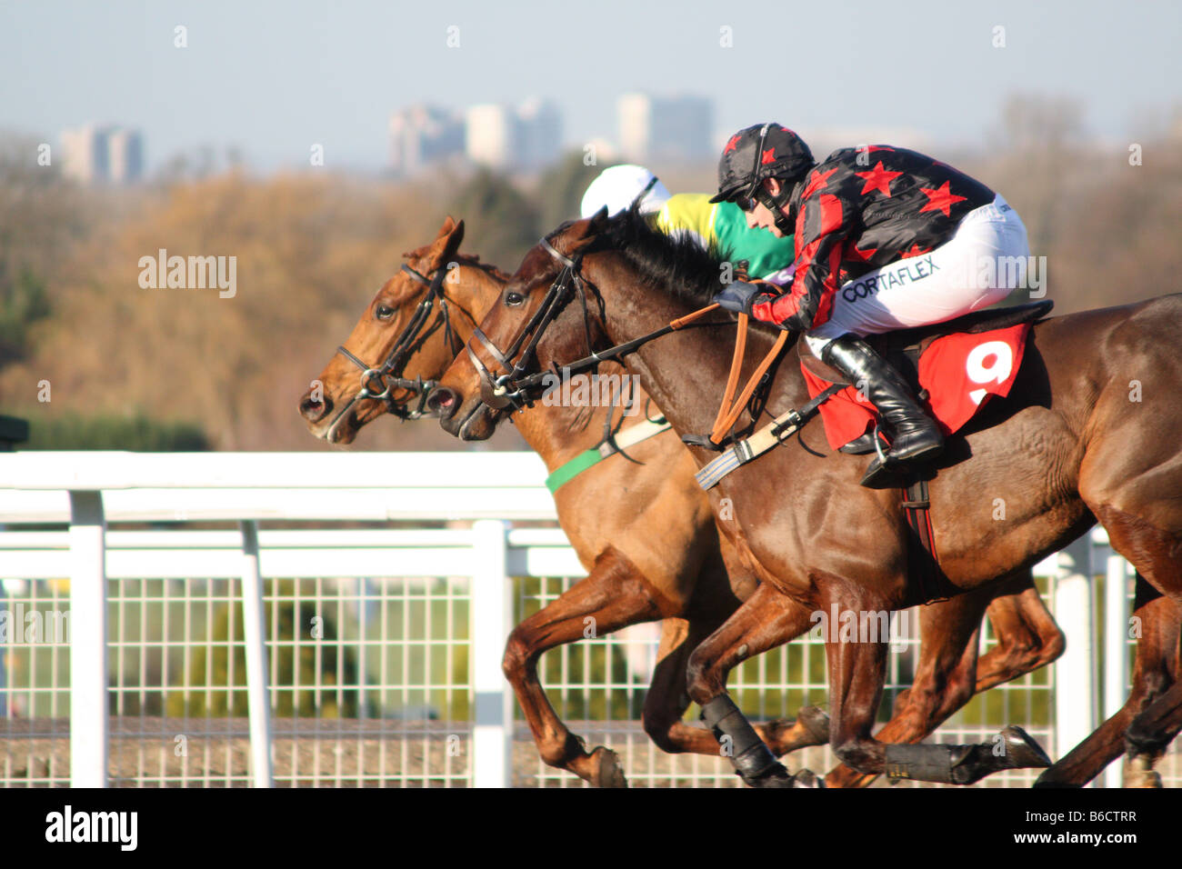 Neck & Neck Horse Race Stock Photo - Alamy