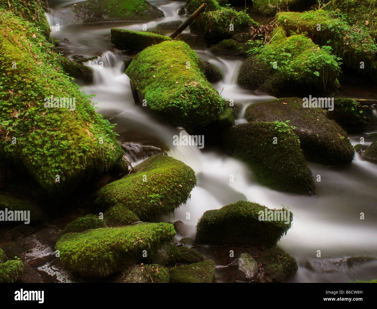Creek flowing on rocks Stock Photo - Alamy