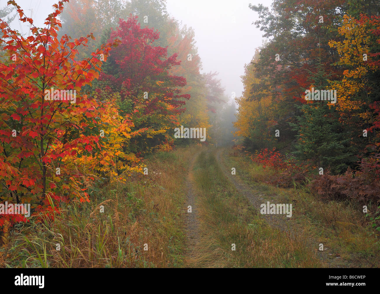 one of those beautiful fall mornings in northern Ontario Stock Photo ...