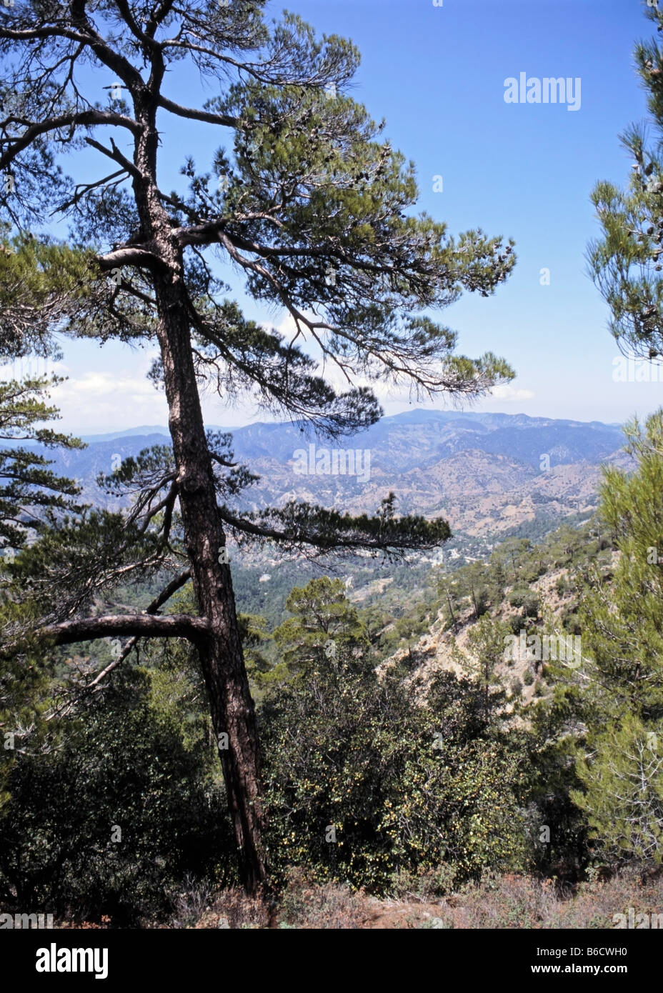Cyprus countryside hi-res stock photography and images - Alamy
