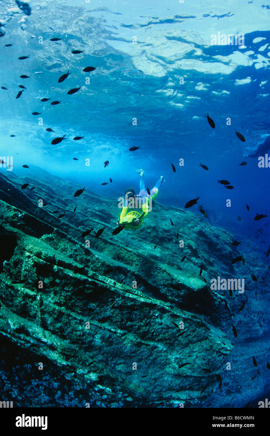 Underwater view fish swimming in hi-res stock photography and images ...