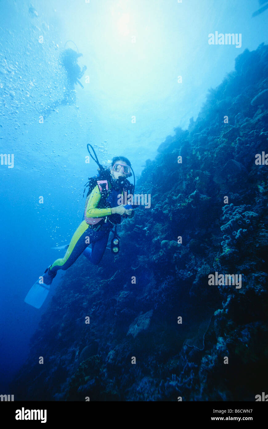 Scuba diver exploring under the sea Stock Photo - Alamy