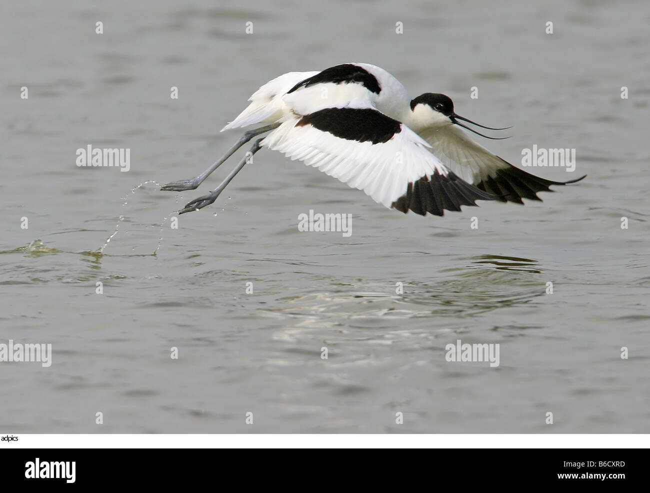 Flying over water hi-res stock photography and images - Alamy