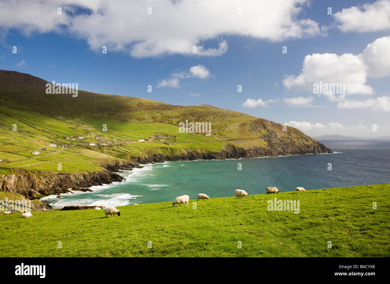 Dingle ireland hi-res stock photography and images - Alamy