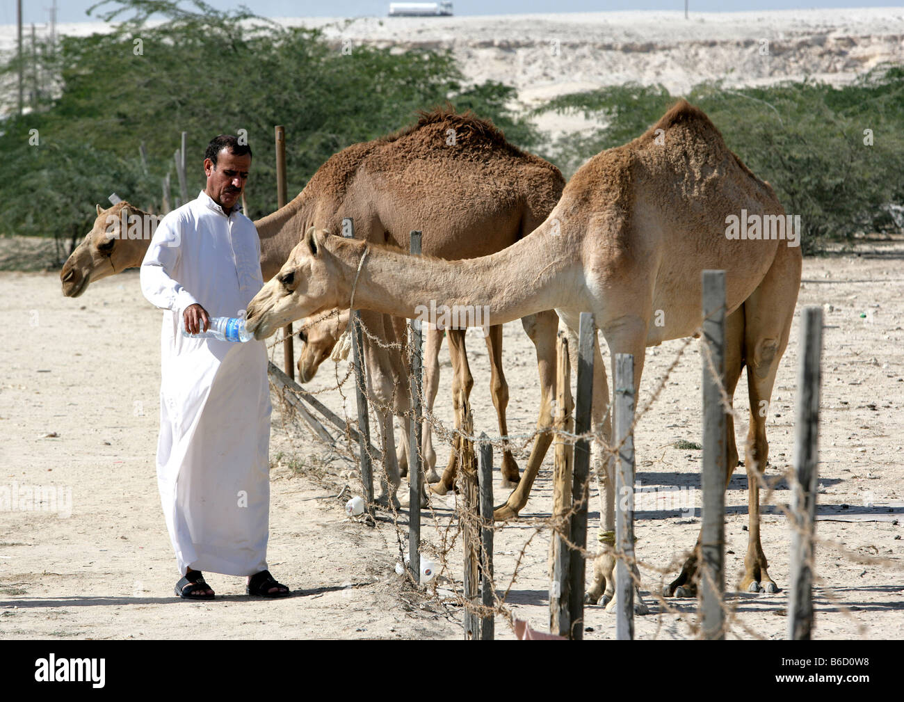 Bahrain sand hi-res stock photography and images - Alamy