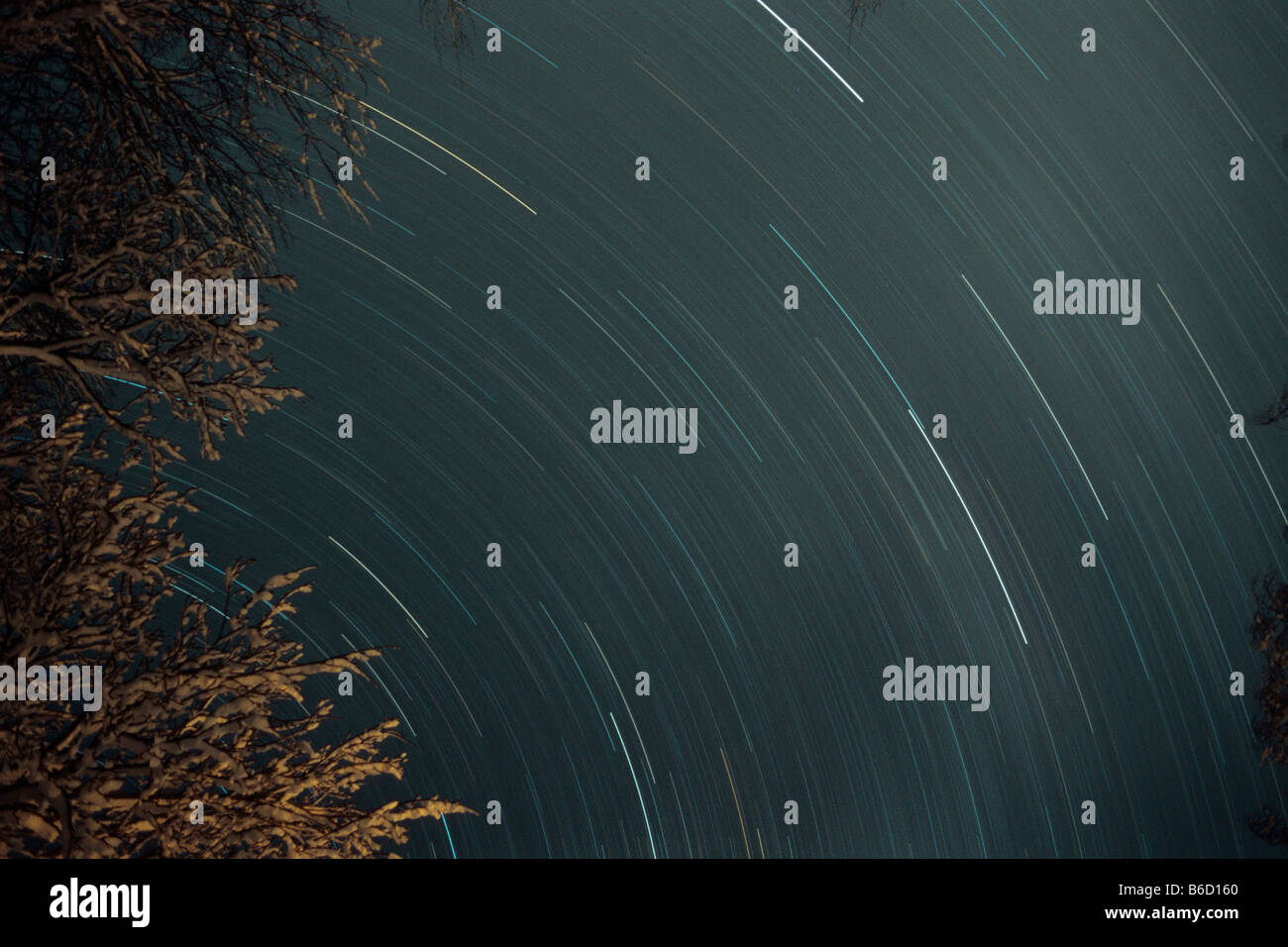 Star trails in sky Stock Photo - Alamy