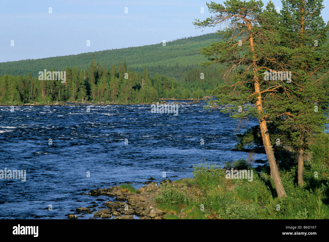 Pite hi-res stock photography and images - Alamy