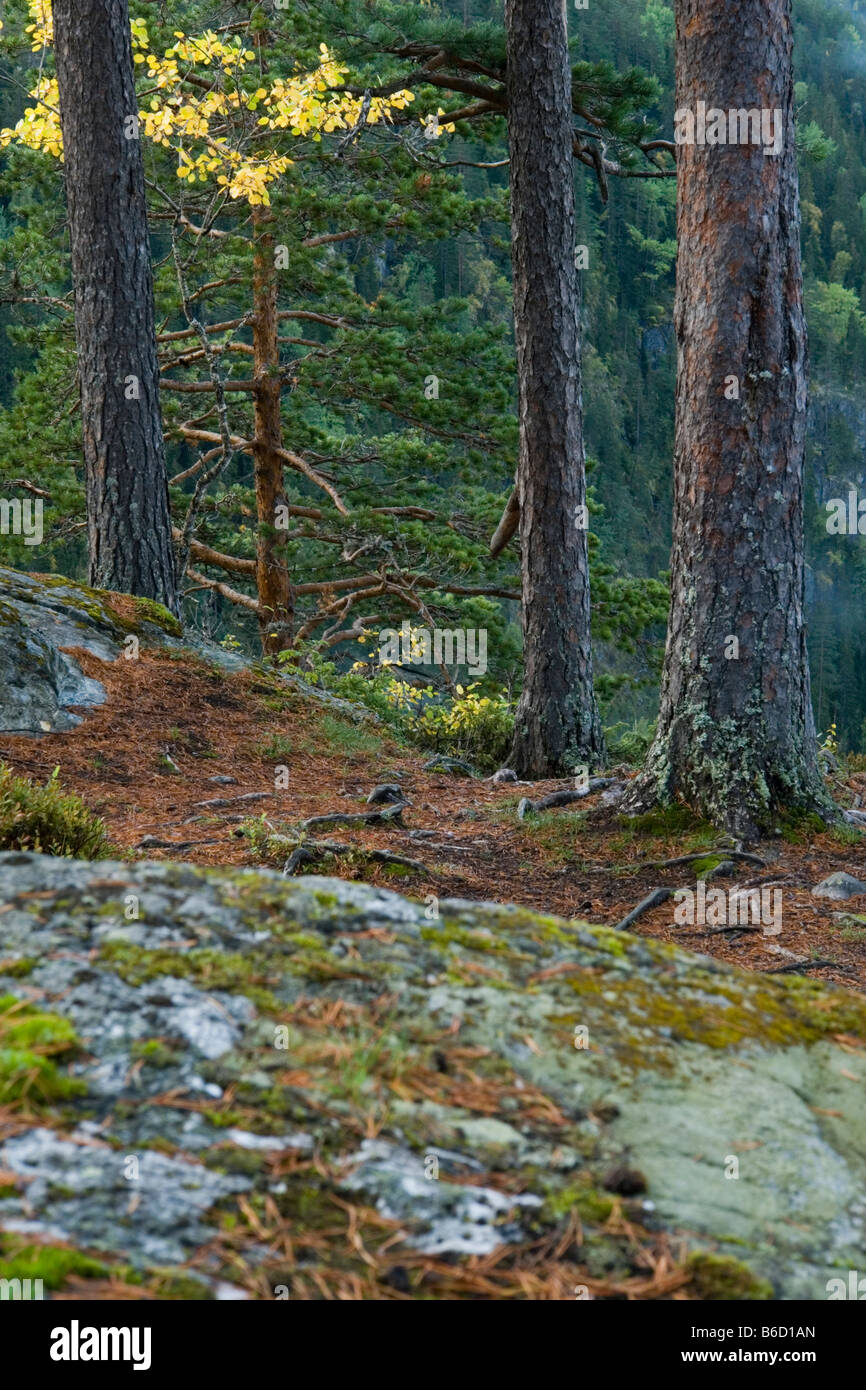 Telemark norway hi-res stock photography and images - Alamy