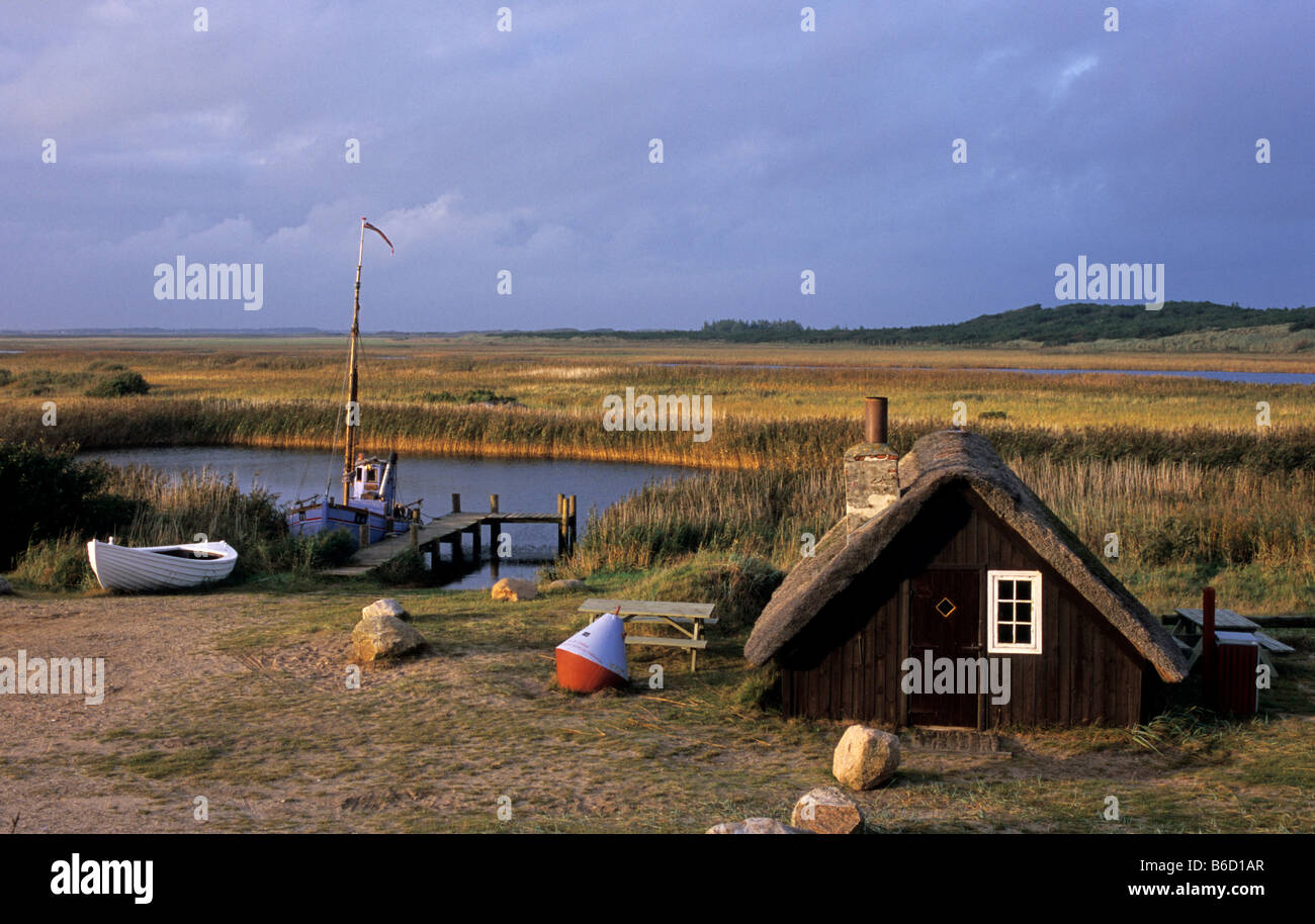 cottage of fisherman near village of nymindegab ringkobing fjord region ...