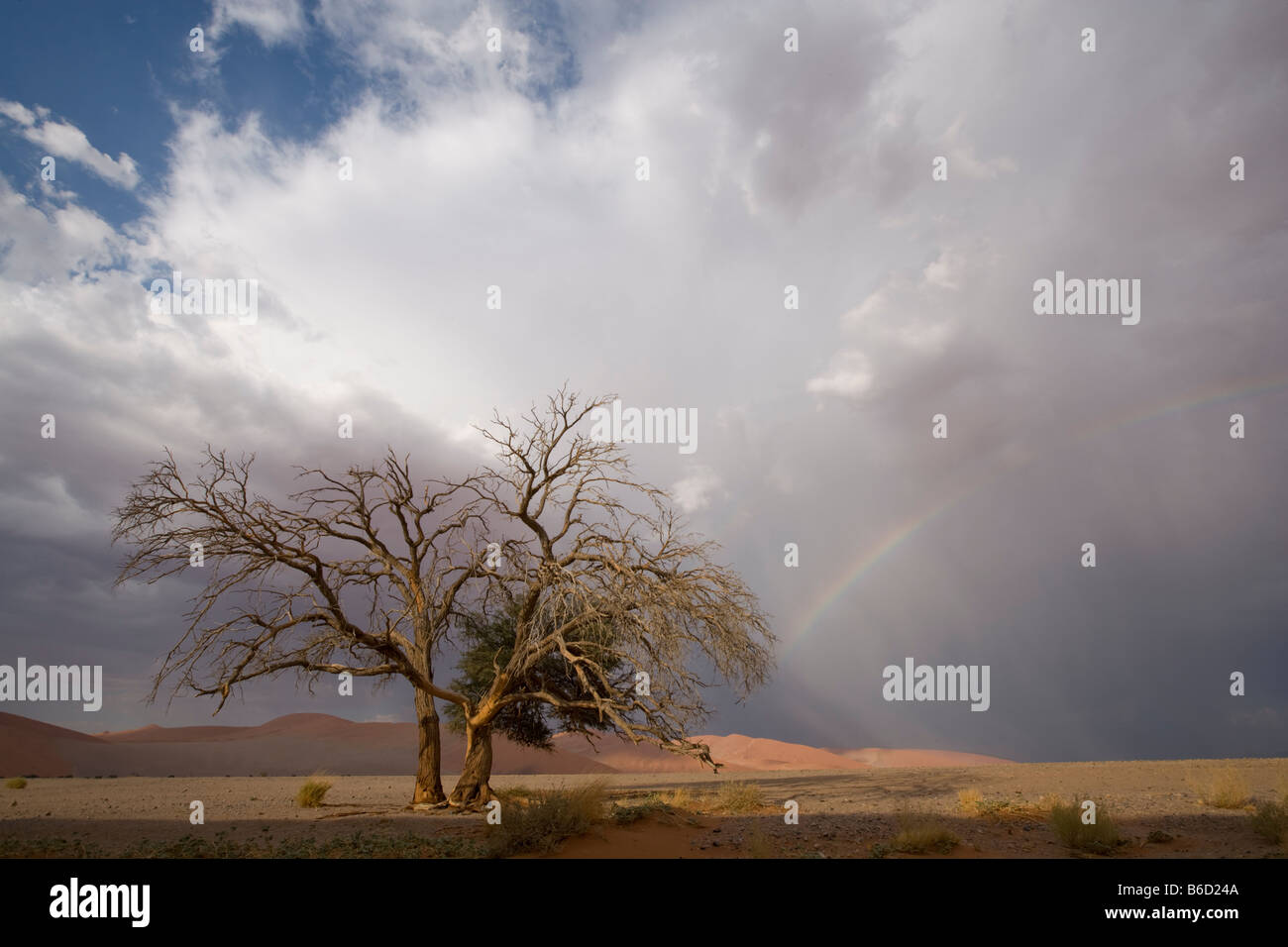 Africa Namibia Namib Naukluft National Park Rainbow and rain clouds ...