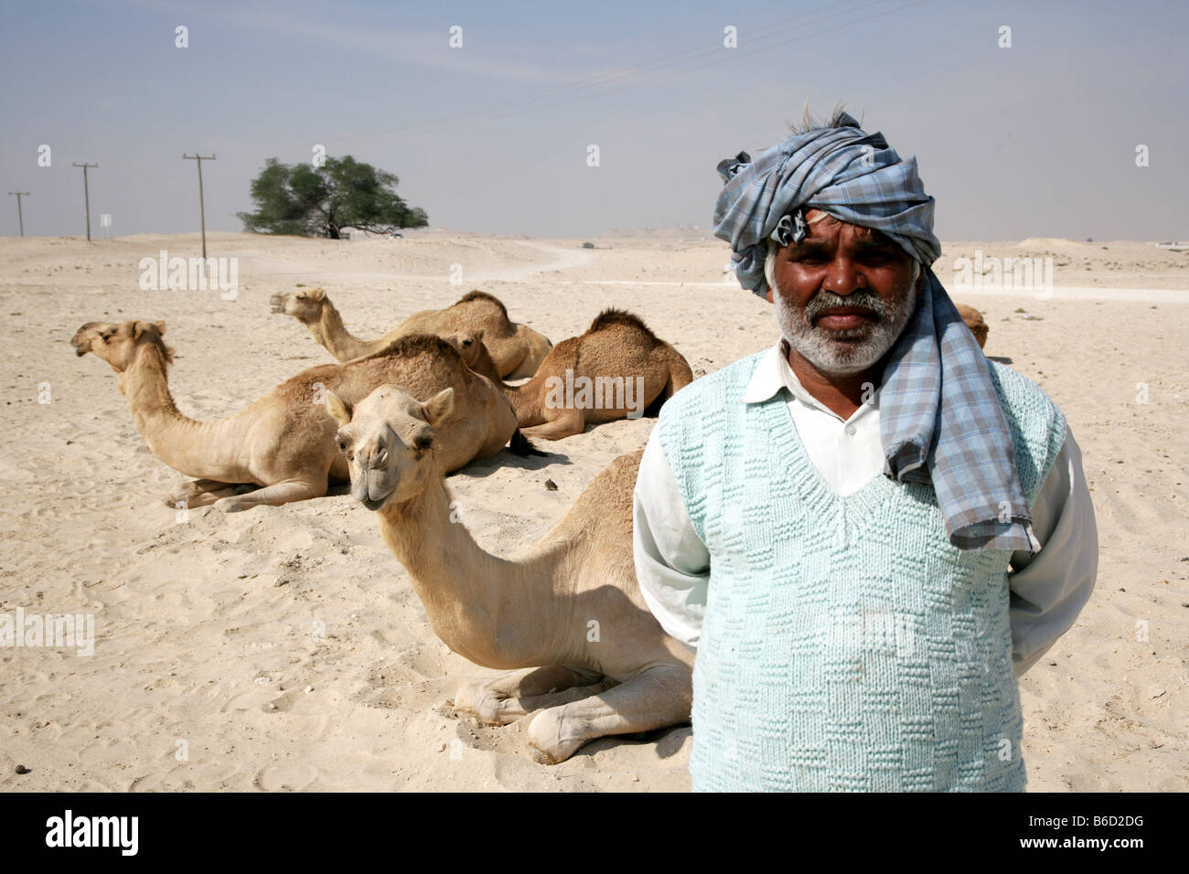 BRN, Bahrain: camel herder in the desert near Awali Stock Photo - Alamy
