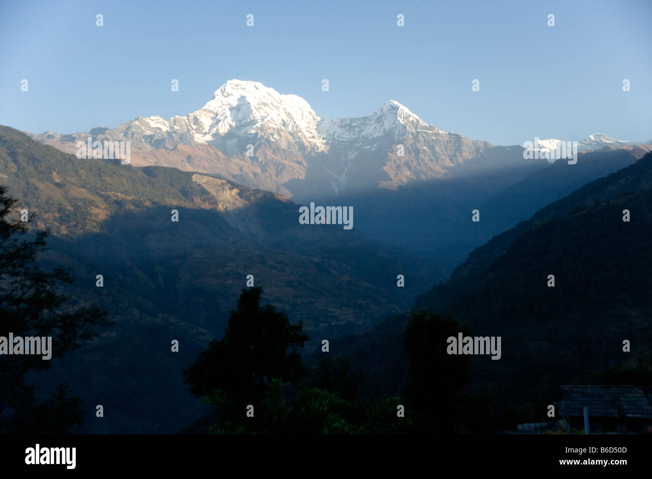 Dawn over Annapurna South Annapurna One and Hiunchuli Mountains from ...