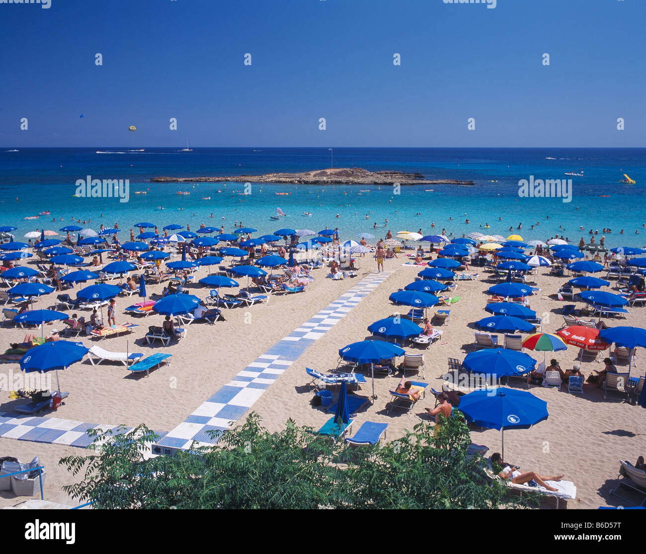 Fig trees of the middle east hi-res stock photography and images - Alamy