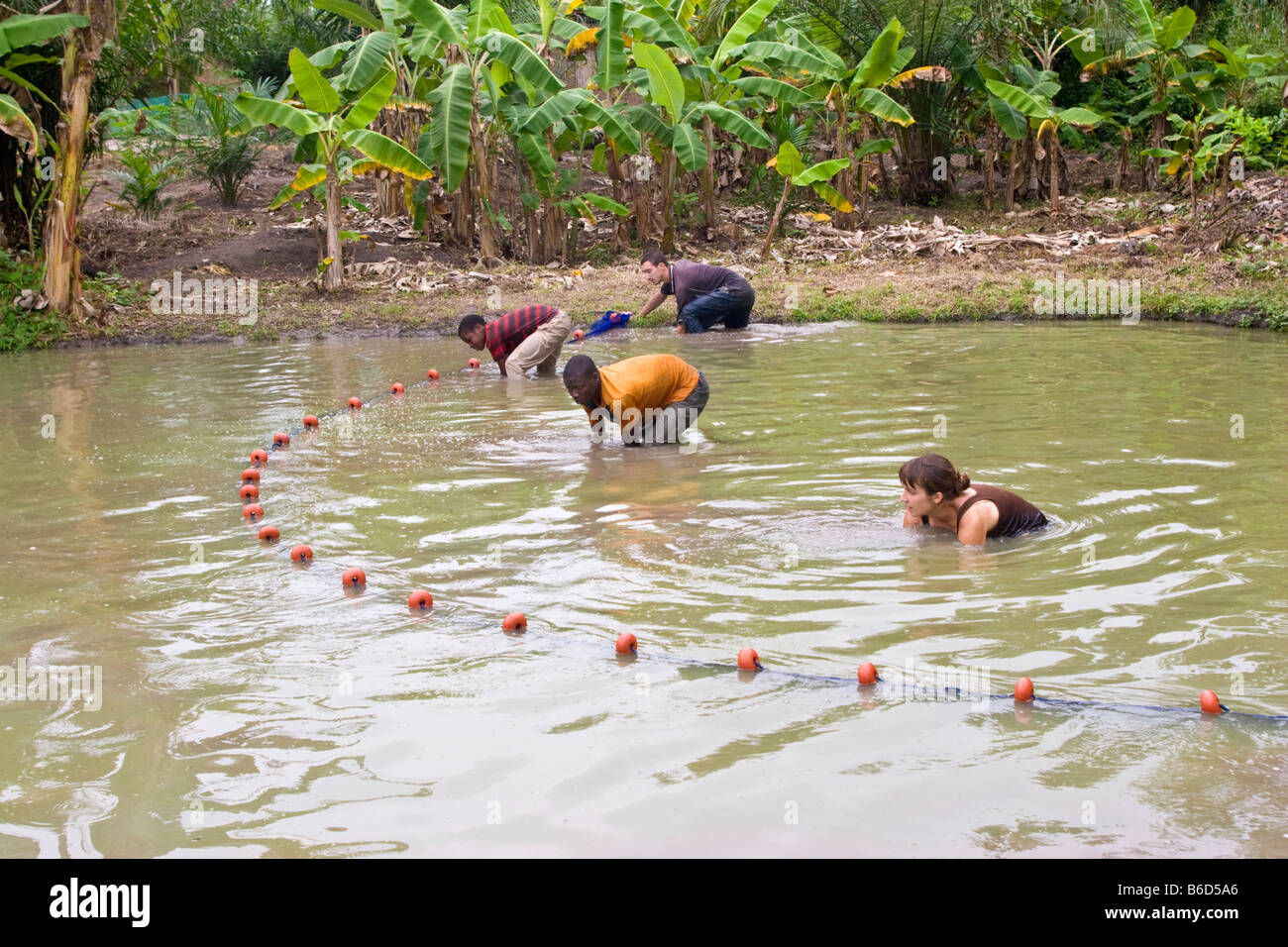 European NGO volunteers working in waterpond, experimental fish farm ...