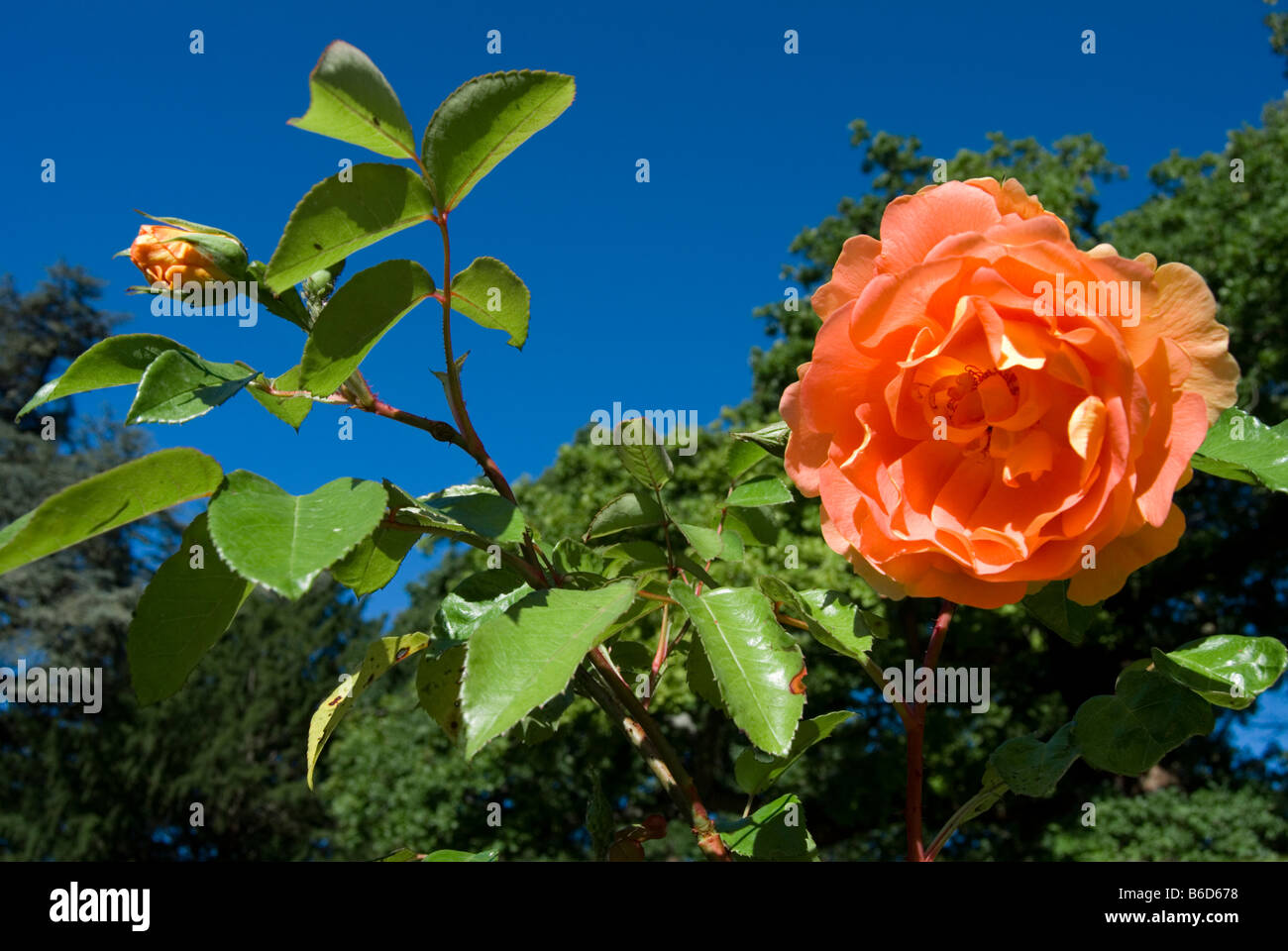 Pat austin hi-res stock photography and images - Alamy