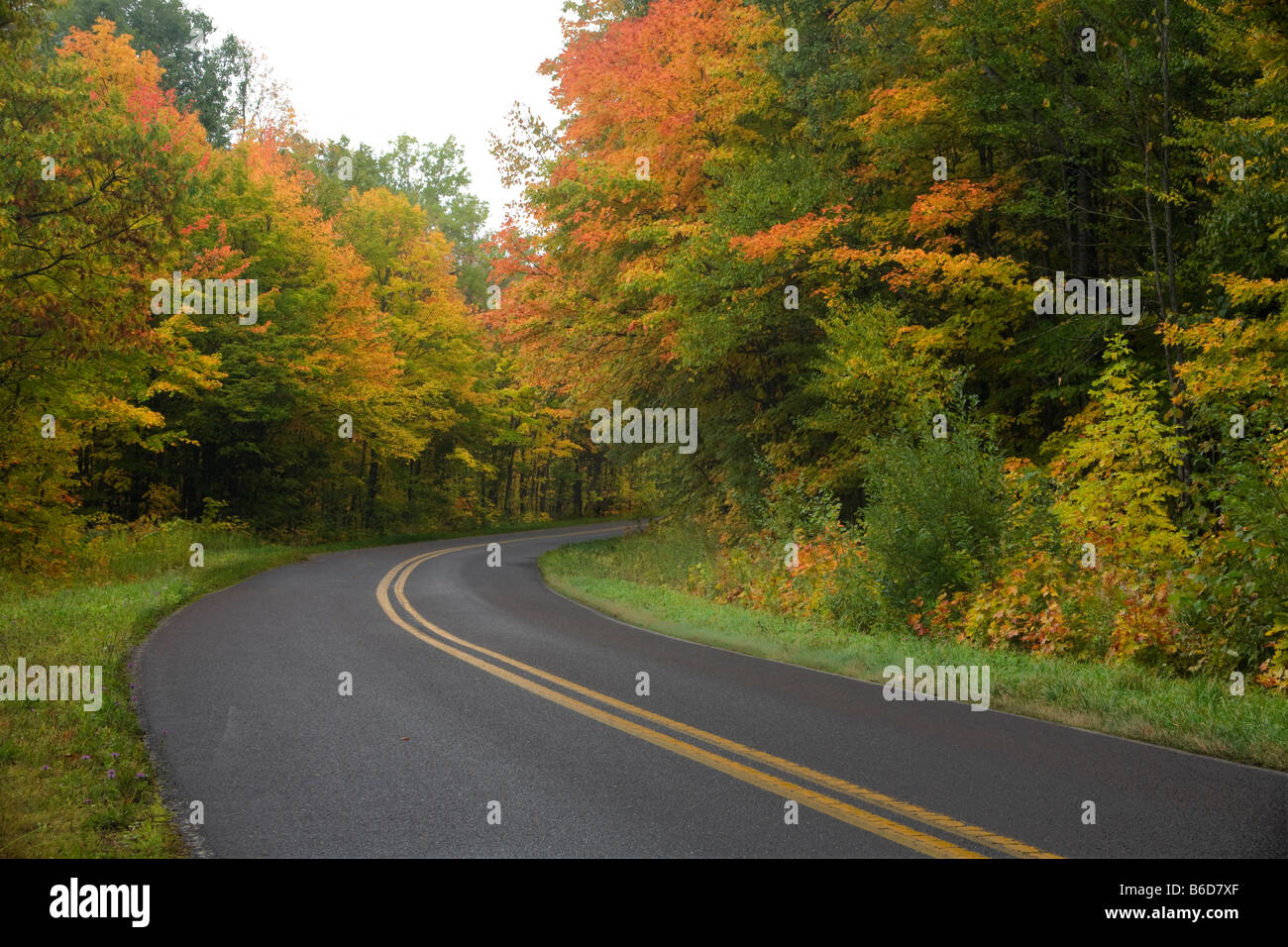 MICHIGAN - Fall color along the South Boundary Road in the Porcupine ...
