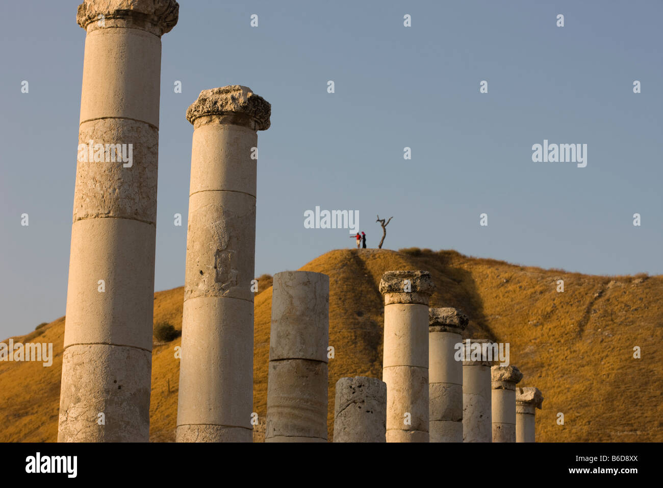 PALLADIUS STREET BYZANTINE COLONNADE RUINS TEL BEIT SHEAN NATIONAL PARK ...