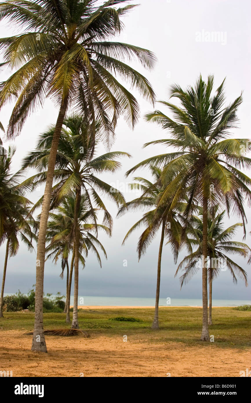 Beach in Ouidah, Benin, West Africa Stock Photo - Alamy