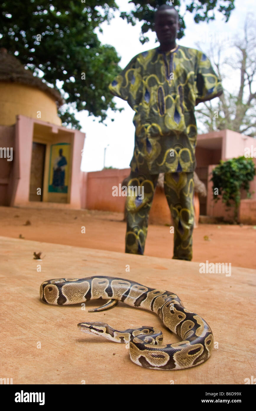 Vodun priest in Snake Temple in Ouidah, Benin, West Africa Stock Photo ...
