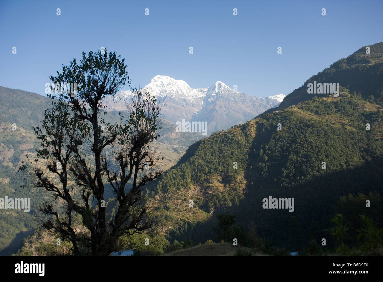Annapurna South Annapurna One and Hiunchuli Mountains from above the ...