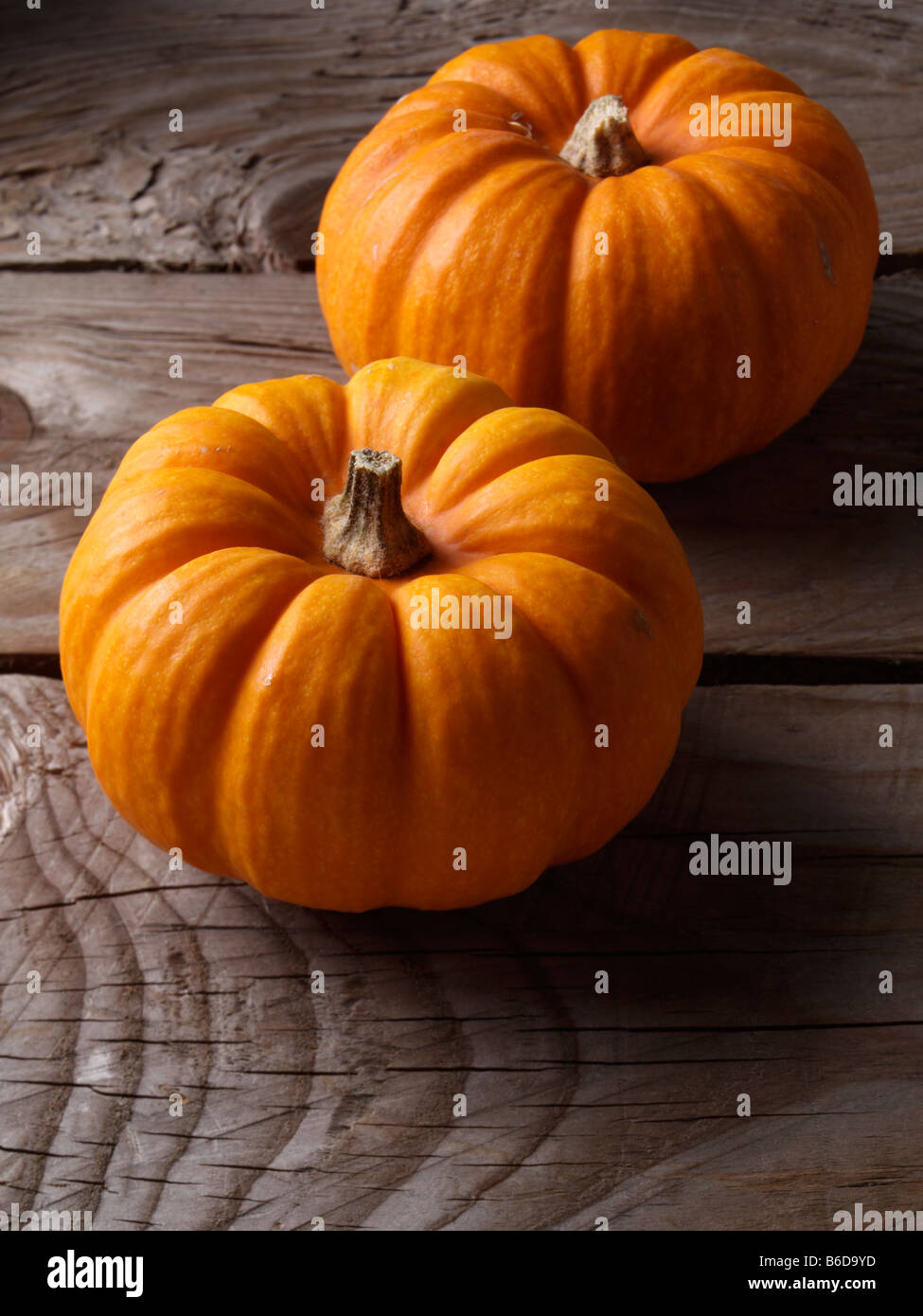 Miniature golden pumpkins hi-res stock photography and images - Alamy