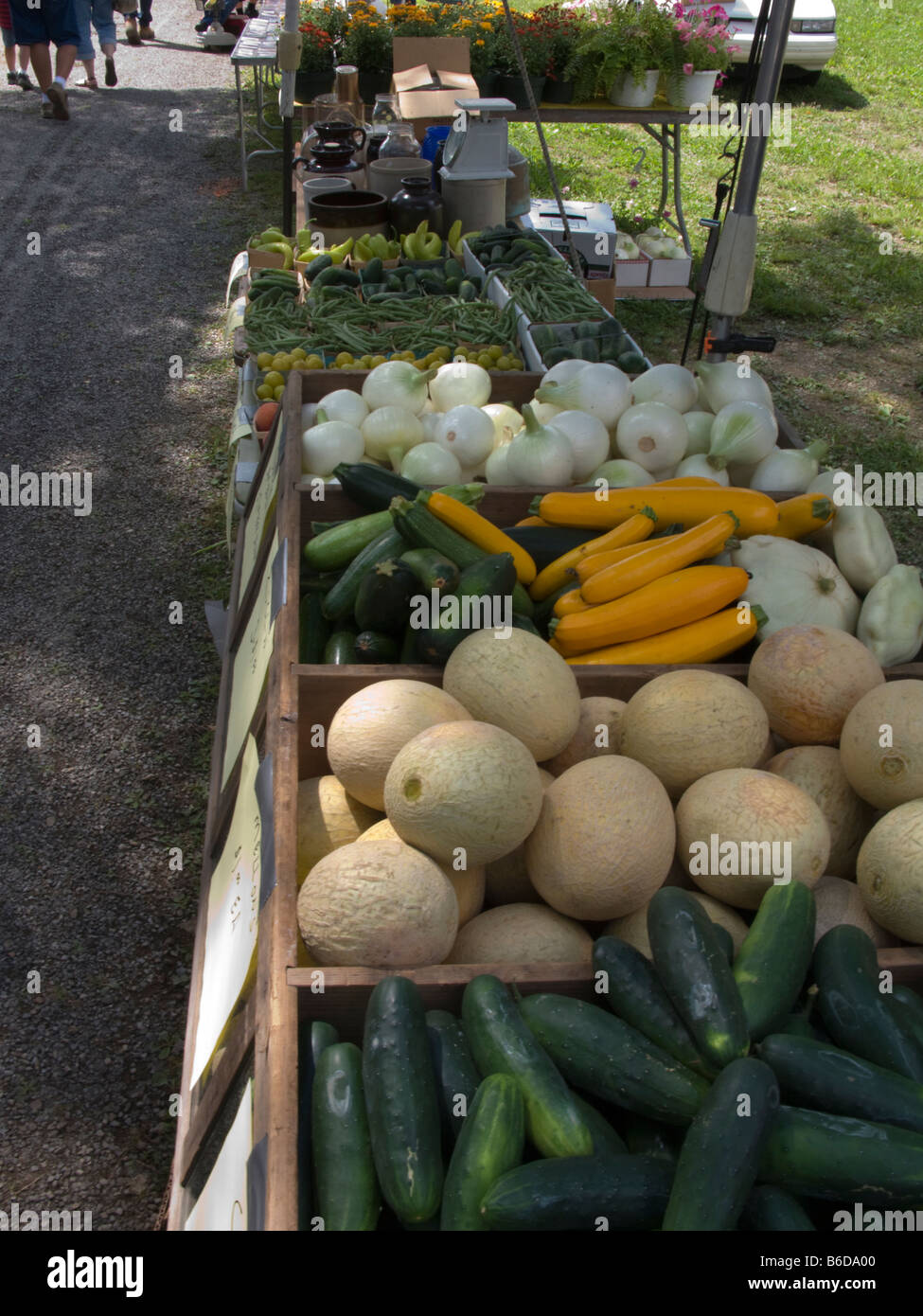 Farmers market usa stalls hi-res stock photography and images - Alamy
