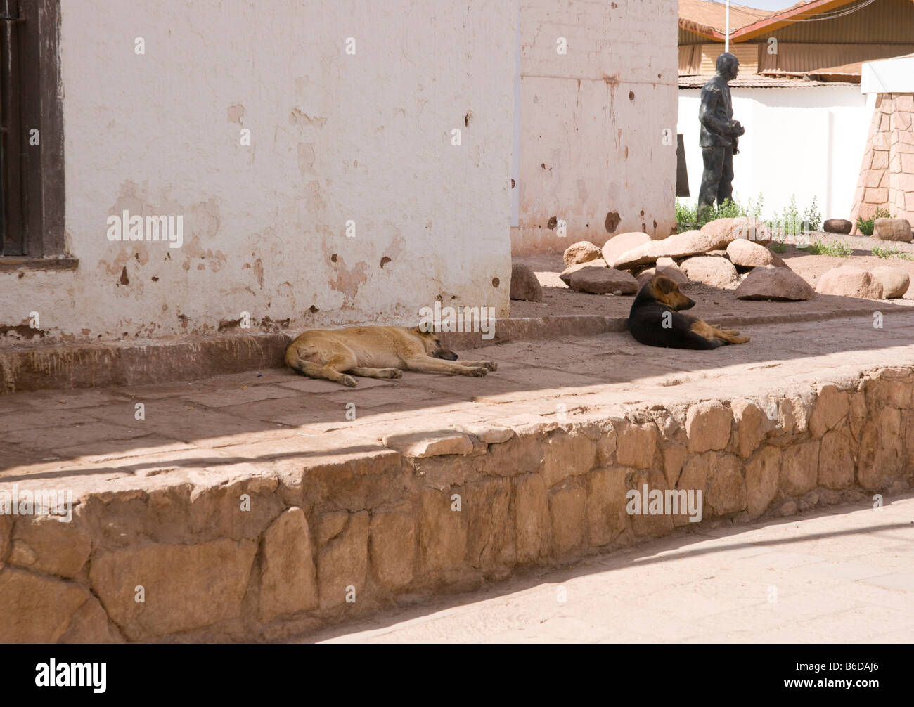 Stray dogs rest hi-res stock photography and images - Alamy