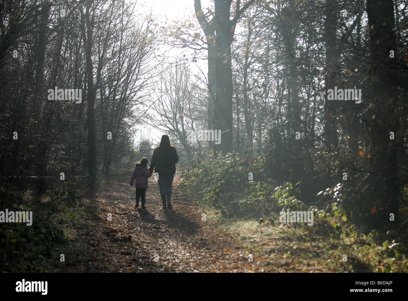Belhus Essex High Resolution Stock Photography and Images - Alamy