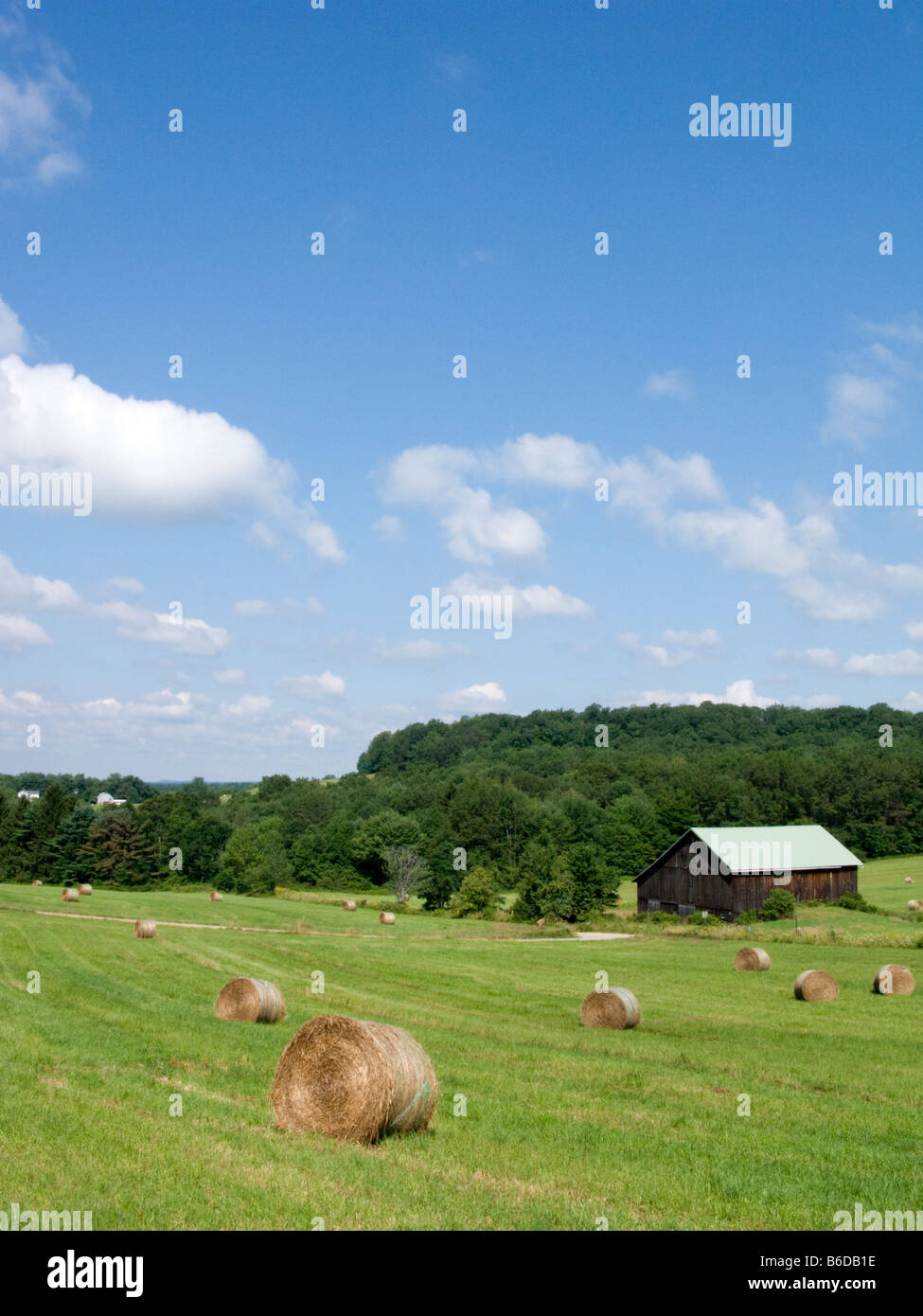 Bayles farm hi-res stock photography and images - Alamy