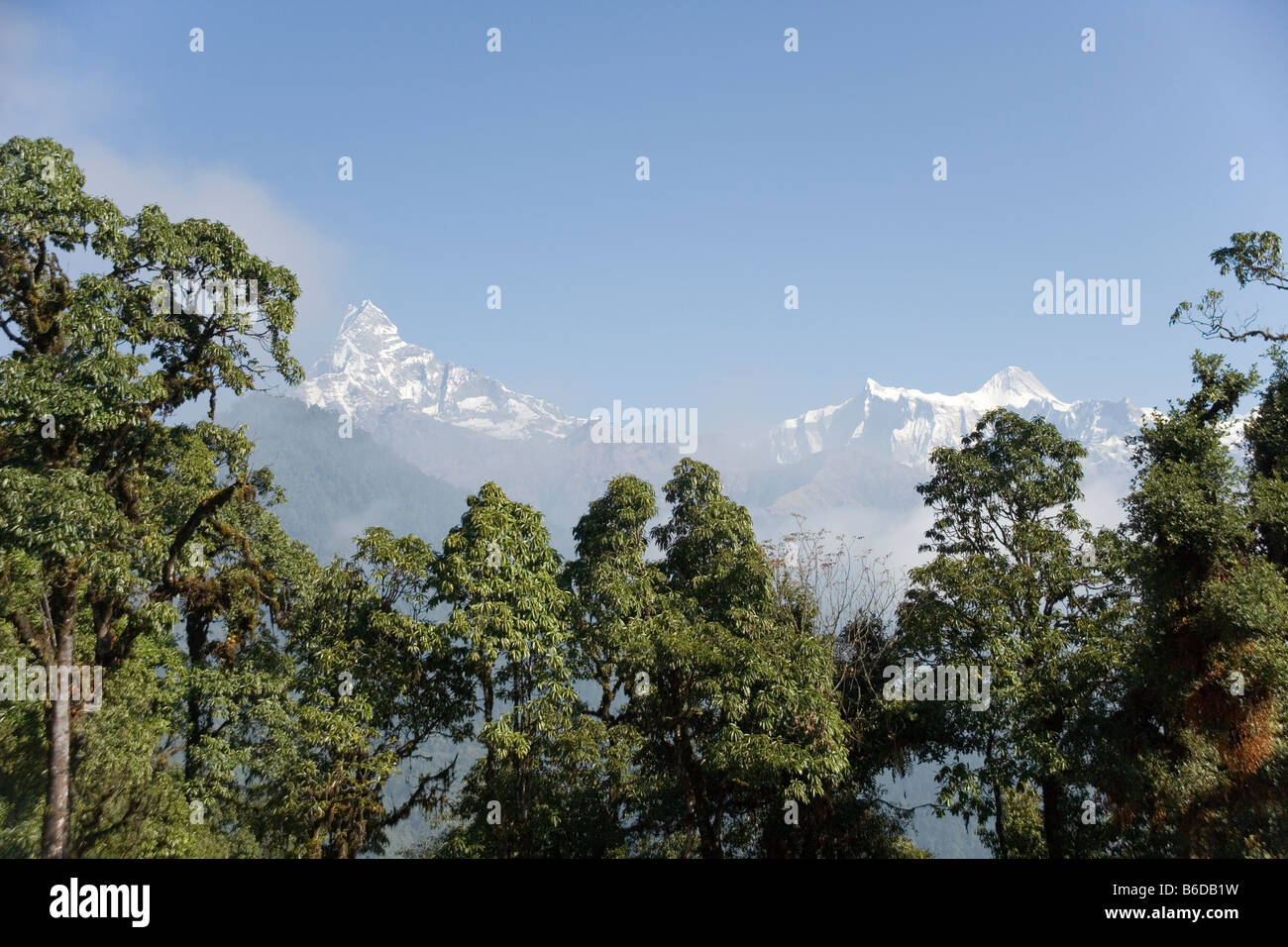Gurung lodge hi-res stock photography and images - Alamy